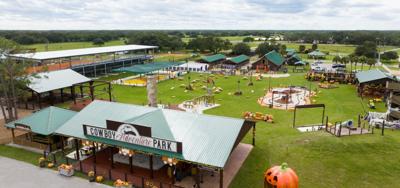 Hey y’all, let’s take a day trip to…Westgate River Ranch Resort and ...