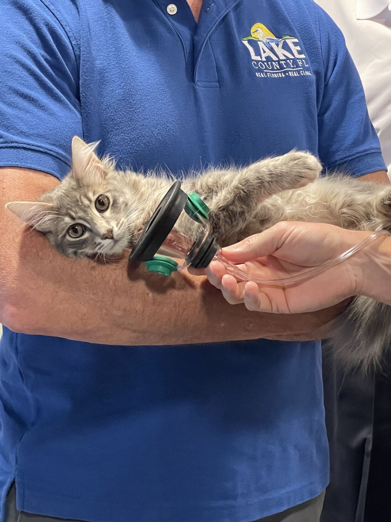 Taking care of furry friends | Triangle Sun | midfloridanewspapers.com