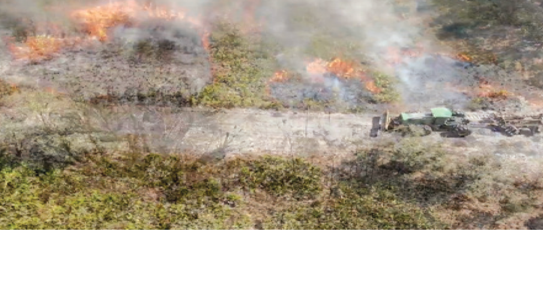 Prescribed fires planned to reduce wildfire risk in Green Swamp ...