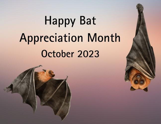 Learn about benefits of bats in October | Highlands Sun ...