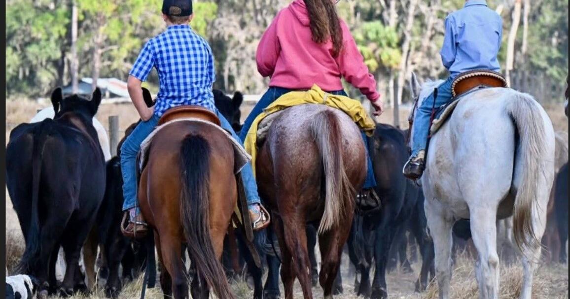 Mazak named agriculture’s 2025 Woman of the Year | Sumter Sun Times | midfloridanewspapers.com