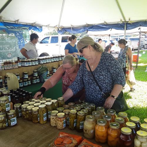 Caladium Festival blooms this weekend | Highlands News-Sun ...