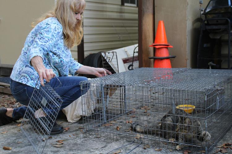 Kathi Tincher dedicates years of service to control the feline ...