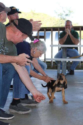 Puppy hired, training in tracking for HCSO | Highlands Sun ...