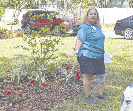 Celebrating trees on Earth Day | Triangle News Leader ...