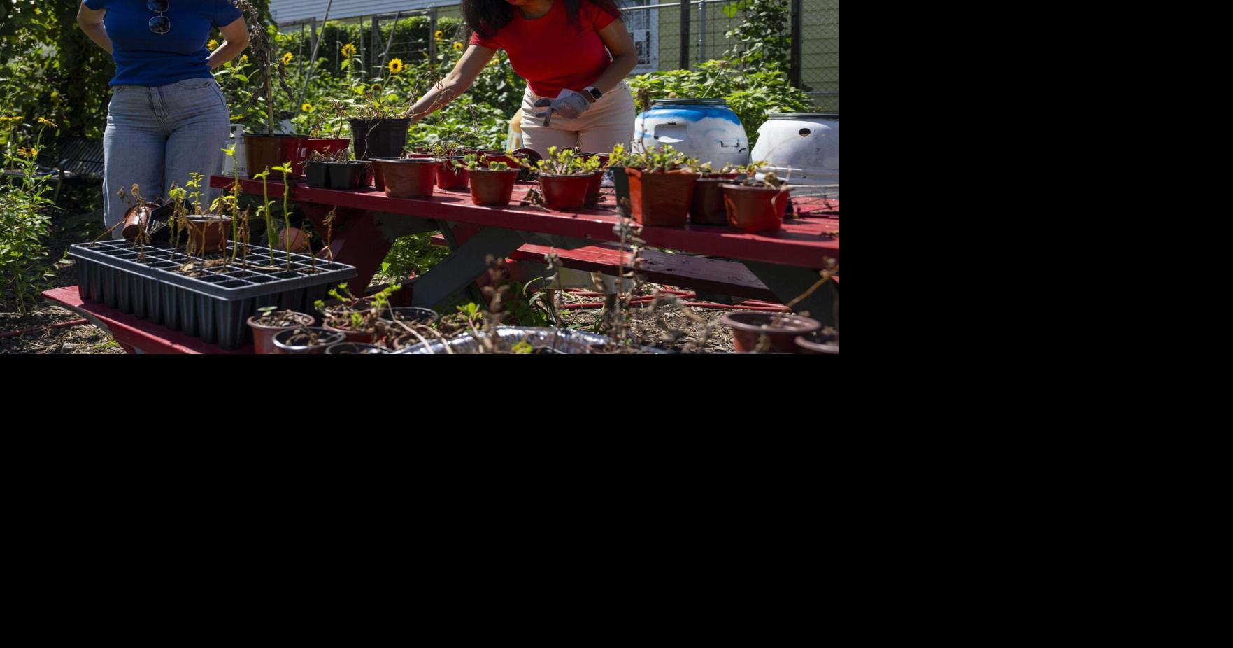 Green spaces are key to combating record heat in marginalized ...