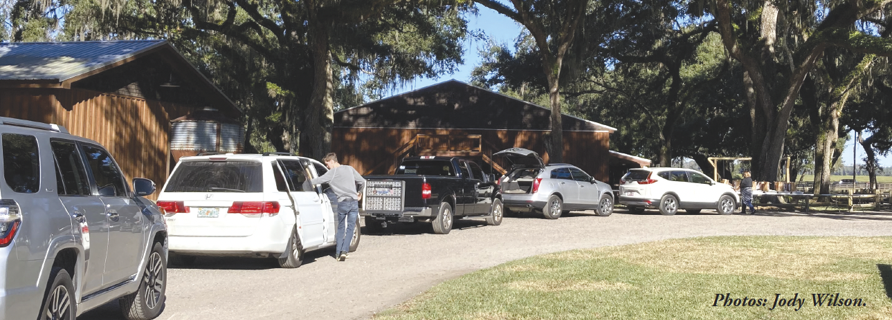 Sumter County Turkeys from Heaven | Sumter County Shopper ...