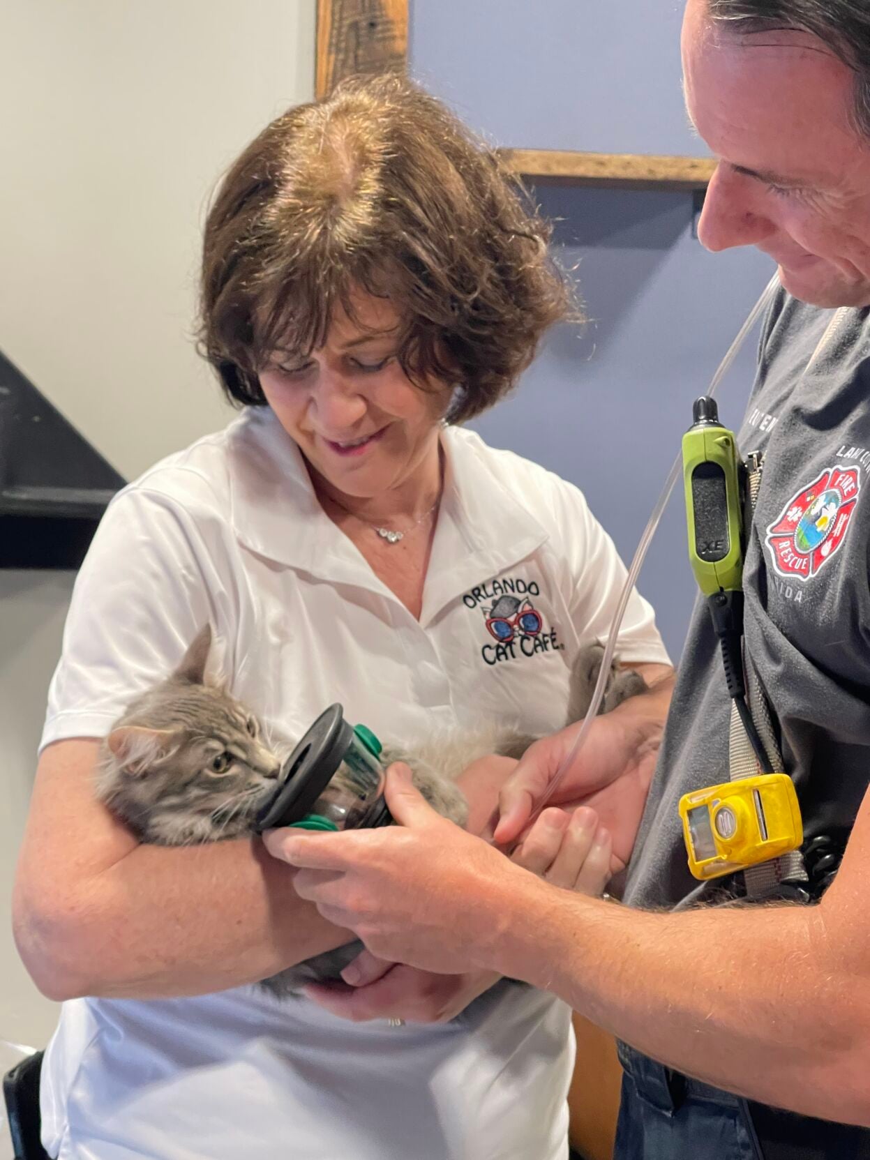 Taking care of furry friends | Triangle Sun | midfloridanewspapers.com