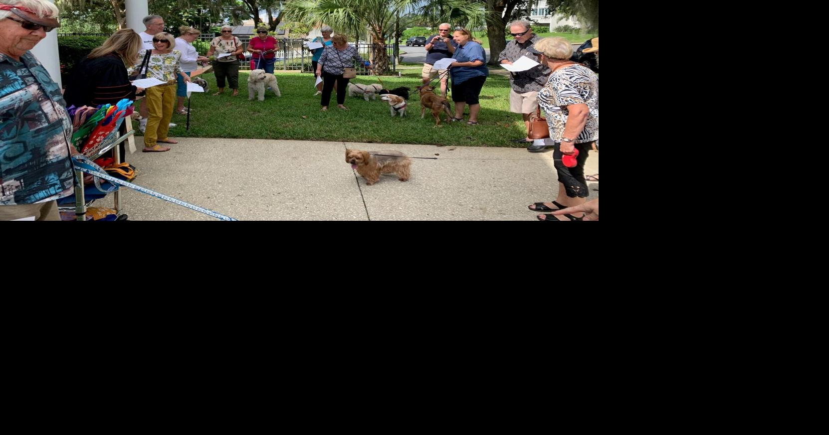 Pet blessing draws furry friends | Triangle News Leader ...