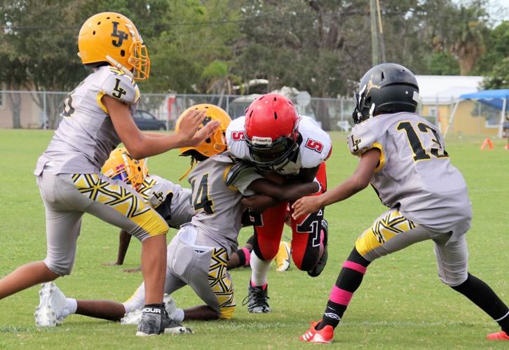AP youth football teams sweep Lakeland | Highlands News-Sun ...