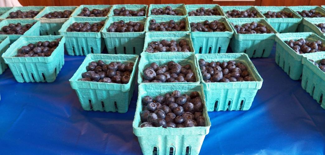 AP Bluegrass & Blueberry Festival set for Saturday | News ...