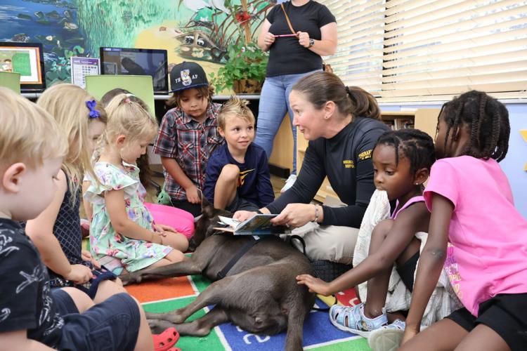 ‘Reading Buddies with Therapy Dogs’ helps kids read more | Highlands ...