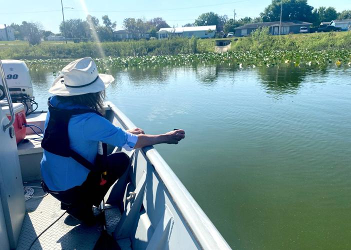 Holiday calls for volunteers to survey lakes | News ...