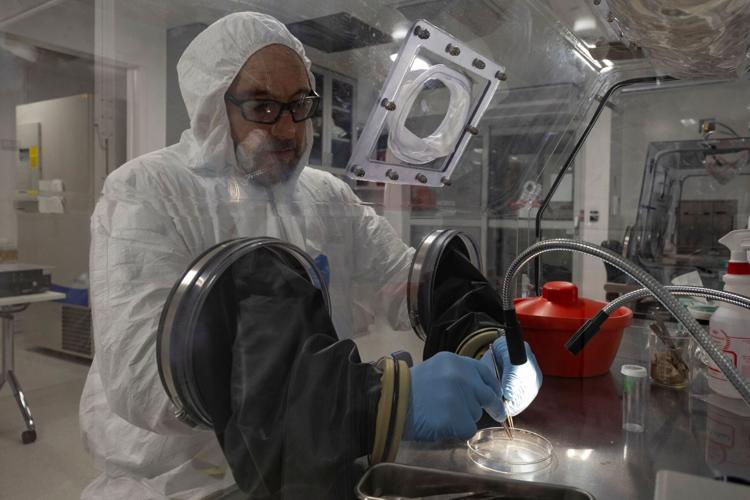 Sloth fever unlikely to spread via mosquitoes in Southeastern U.S ...