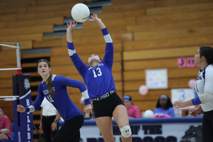 Blue Streaks swept to end tough week | Highlands News-Sun ...