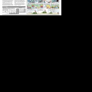 Page 2025-06-16 SEB 06 | HNS Eedition Promo | midfloridanewspapers.com