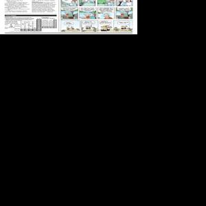 Page 2025-05-19 SEB 06 | HNS Eedition Promo | midfloridanewspapers.com