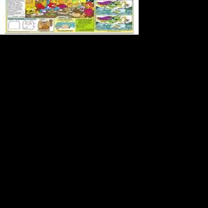 Page D11 | Highlands News-Sun | midfloridanewspapers.com