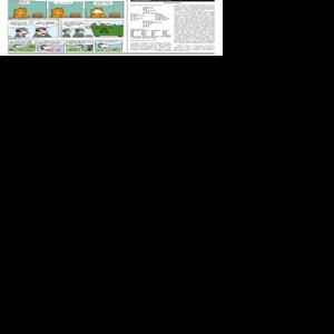 Page 2025-03-27 SEB 07 | HNS Eedition Promo | midfloridanewspapers.com