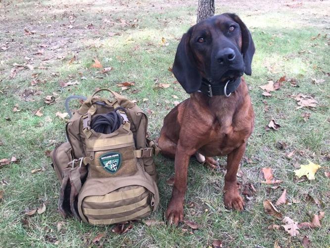 Renowned K9 officer to retire | St. Charles County News ...