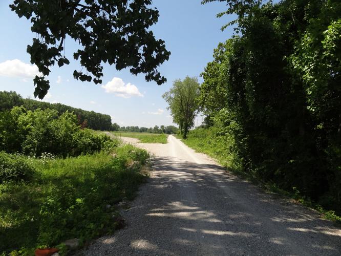 Mayor’s Task Force continues work to protect and improve Bangert Island ...