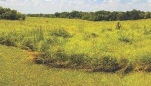 Spring Bend, Heritage parks given go-ahead for design and development ...