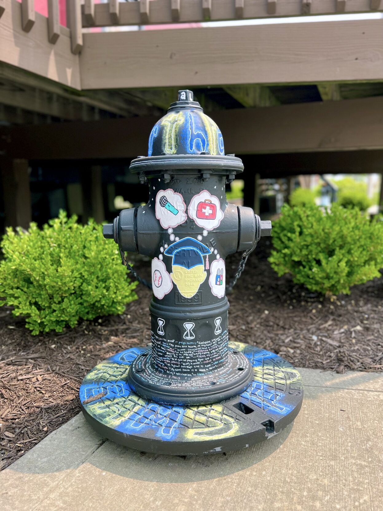 Fire hydrant art promotes water conservation | St. Charles County News ...