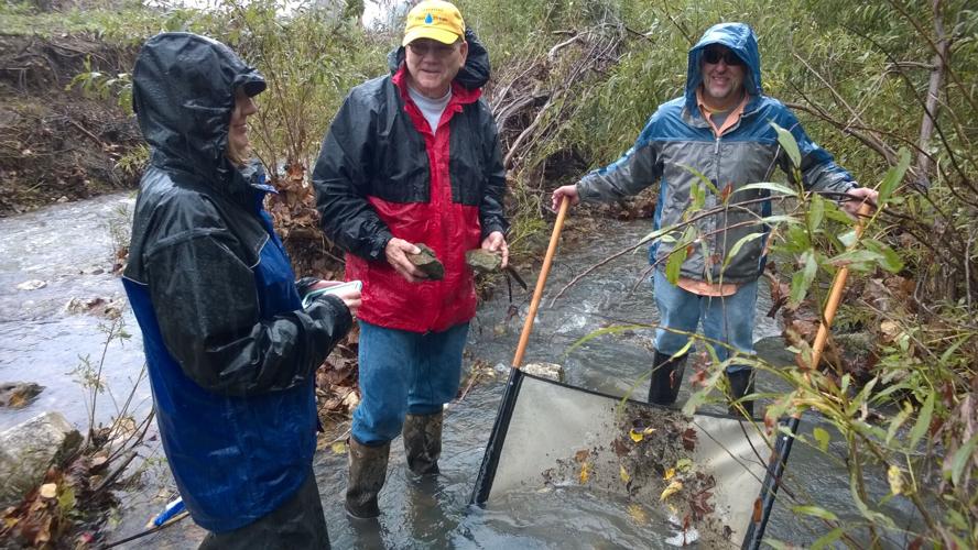 County pursues ARPA funding for Dardenne Creek stream restoration ...