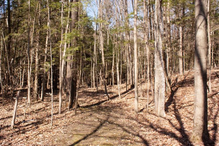 Arrowhead Golf Course in Milton grows through golf, trails | Business ...