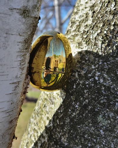 PHOTOS: Here's how 9 Milton residents celebrated Easter | Things To Do ...