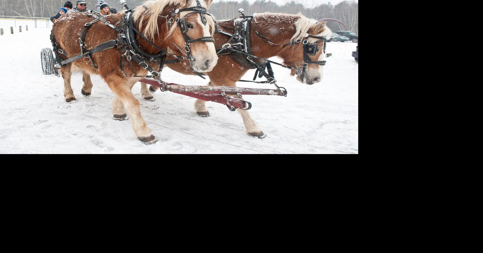 Here are four events coming to Milton soon | Things To Do ...