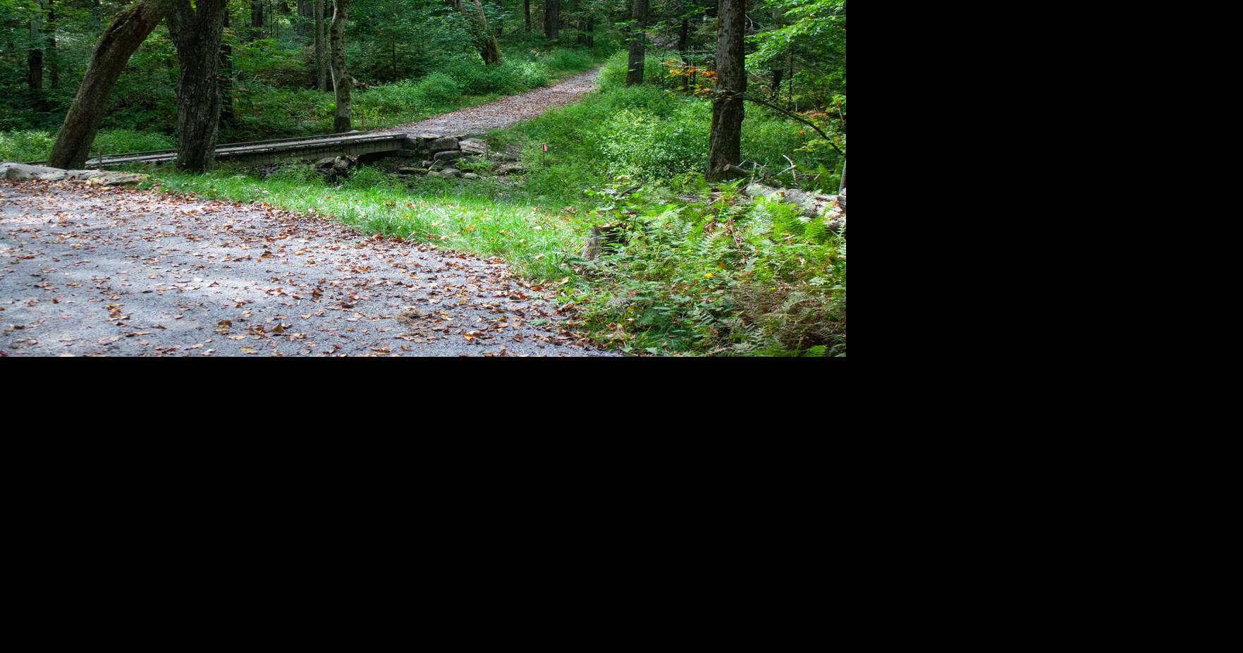 Milton Conservation Commission highlights trail work | Government ...
