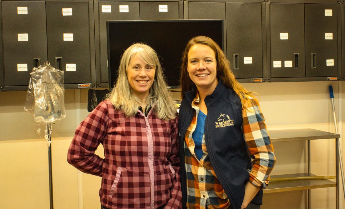 Saddling up for success: Dr. Beaupre and Dr. Colarusso lead the Vermont ...