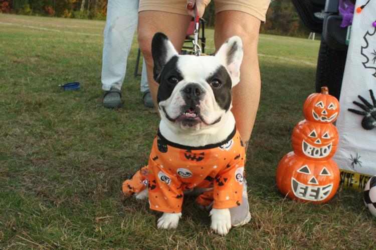 PHOTOS: Ghoulish delights and grinning faces at Milton’s Trunk or Treat ...