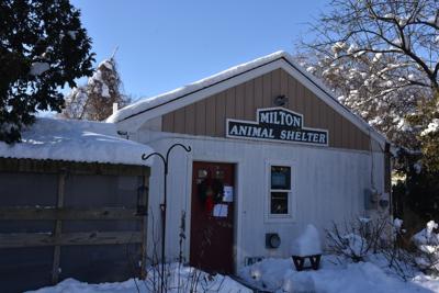 Solutions sought for new animal shelter | News | miltontimes.com
