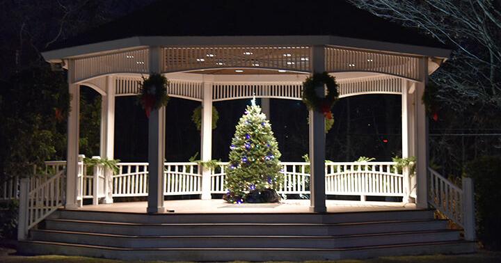 Memorial tree lighting | Local News | miltontimes.com