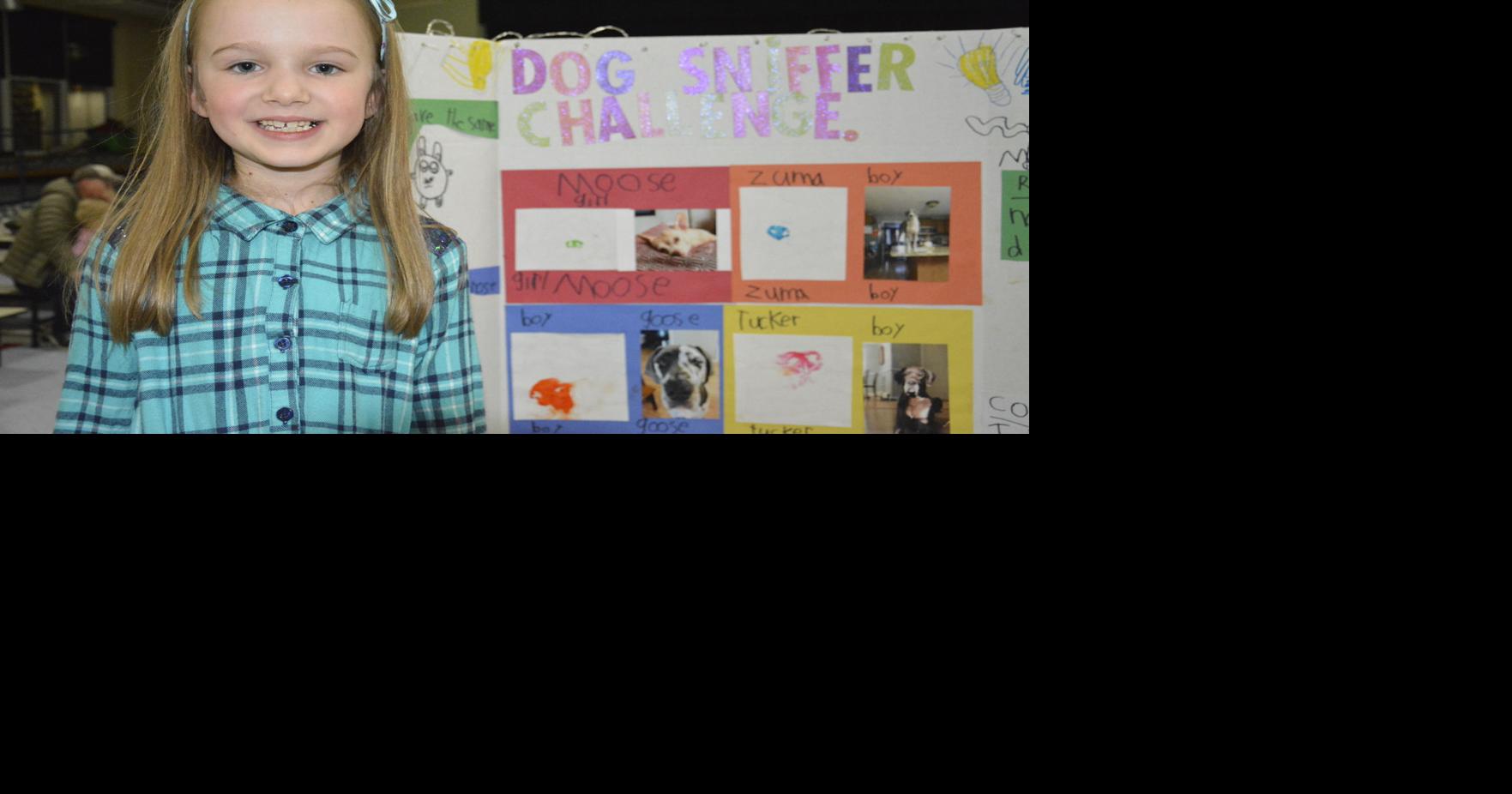 Collect Science Fair | Photo Galleries | miltontimes.com