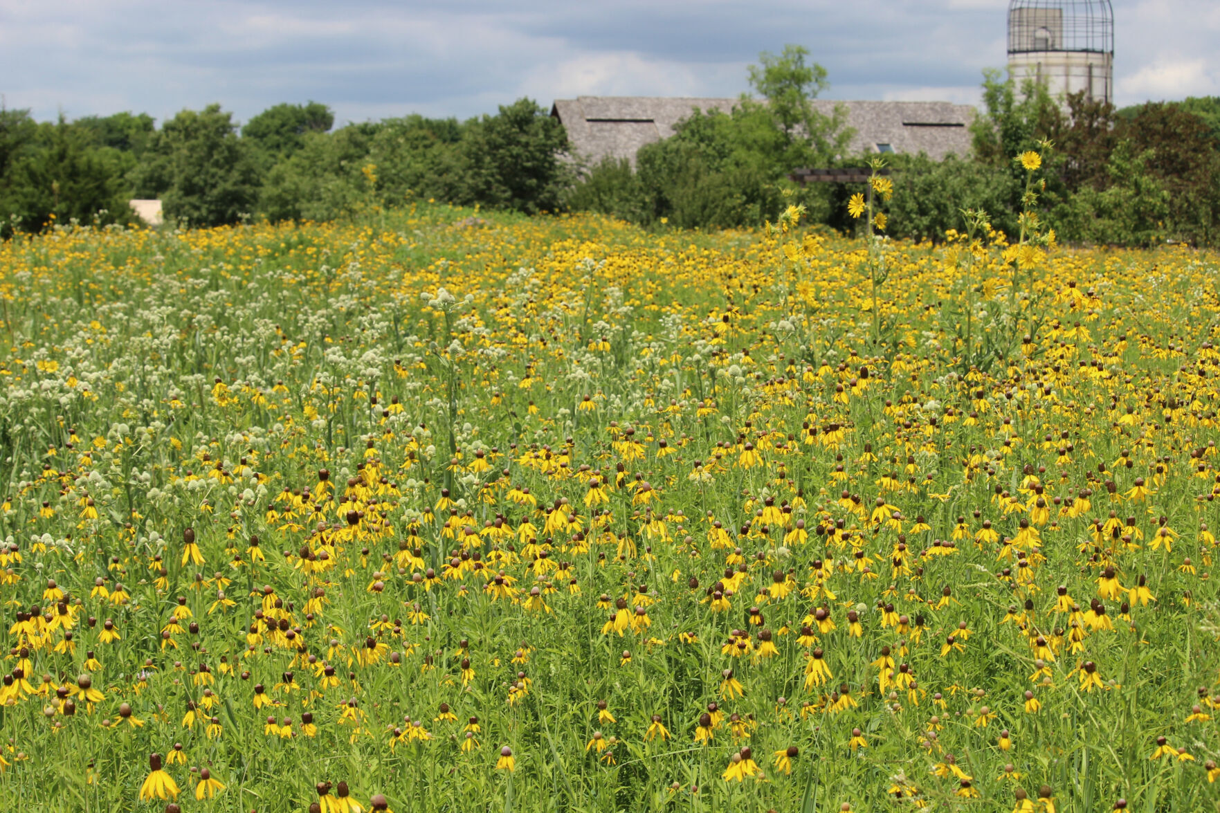 Butterfly trail planned to spur ecotourism, aid pollinators ...