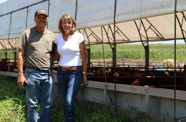 Missouri and Kansas brace for another year of drought | Agriculture ...