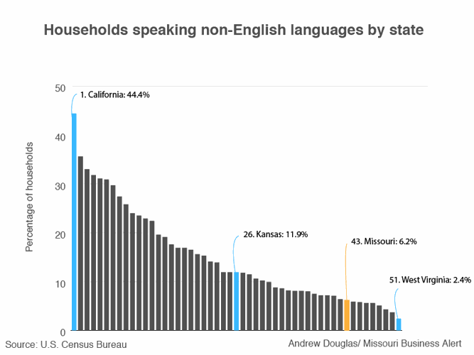 CHART: A look at the languages of Missouri | Business ...