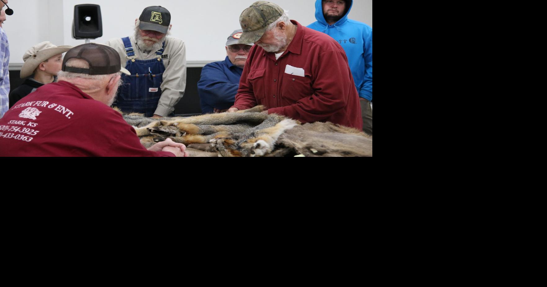 More Missouri trappers turn to damage control market | Agriculture ...