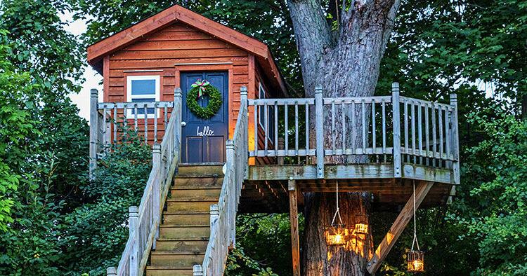Treehouse Tales | Home & Garden | mkelifestyle.com