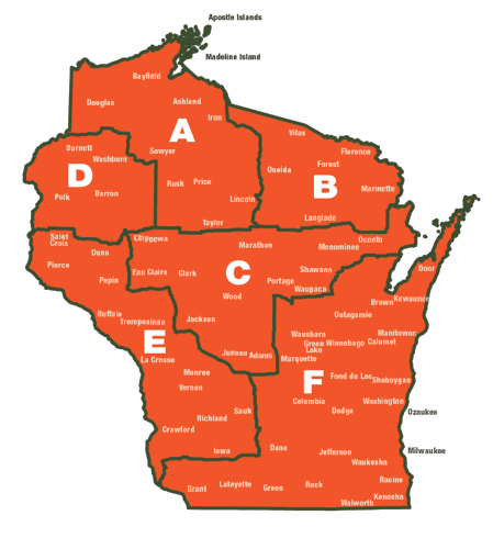 Bear Necessities | Cream City | mkelifestyle.com