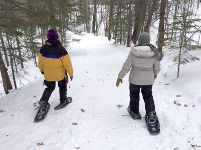 Popular snowshoe hikes back on track | News | mlstargazette.com