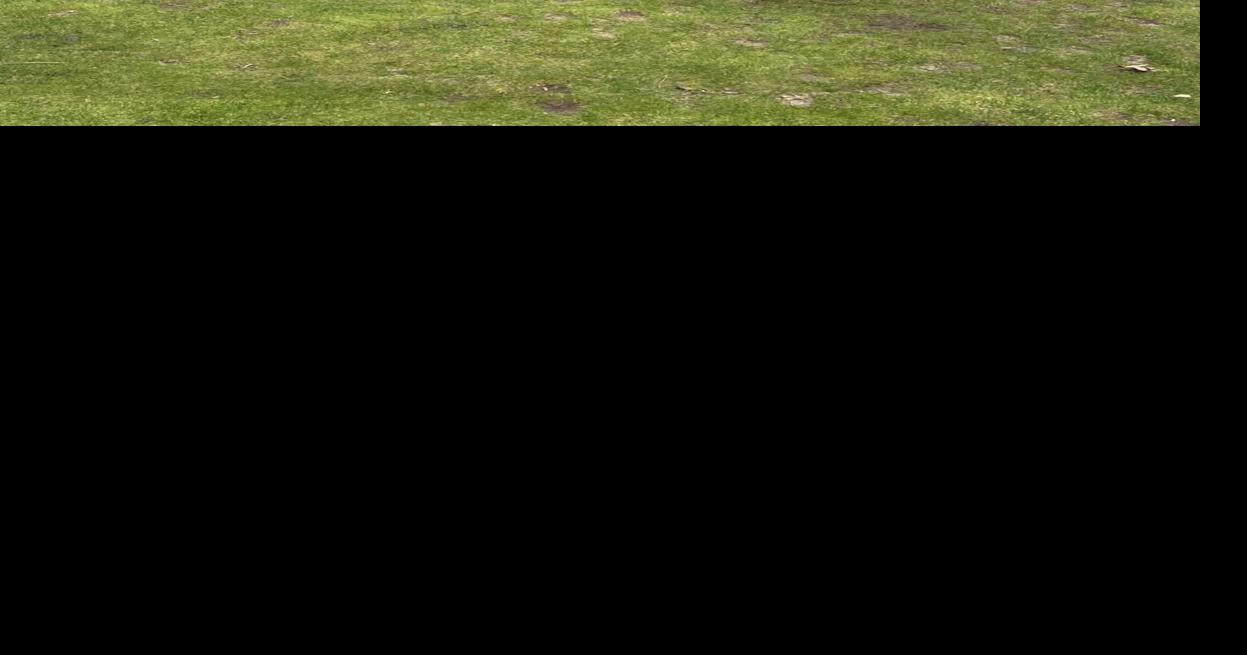 Rebels golf team takes fourth | Sports | mlstargazette.com