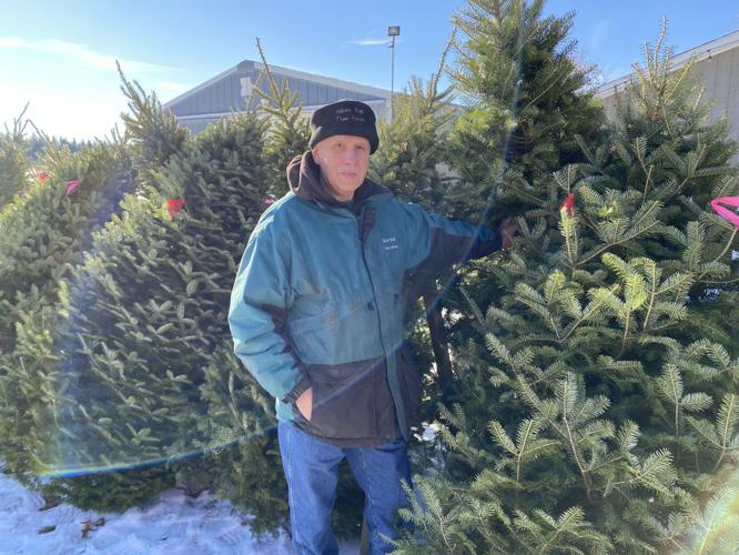 Families enjoy old fashioned tradition at tree farms | News ...