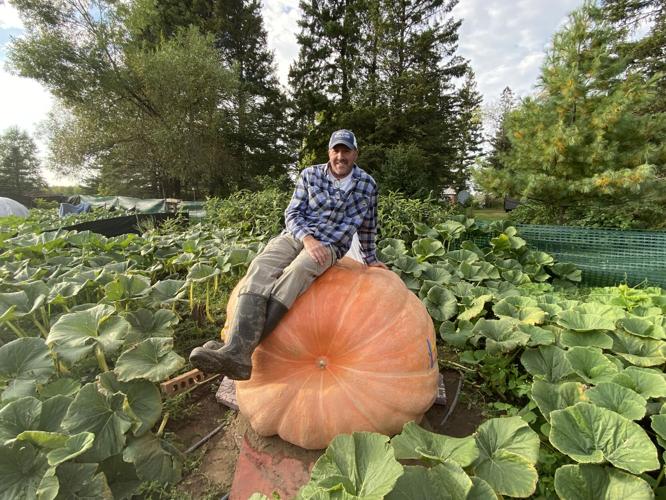 Great Pumpkins alive and well at rural family farm | News ...
