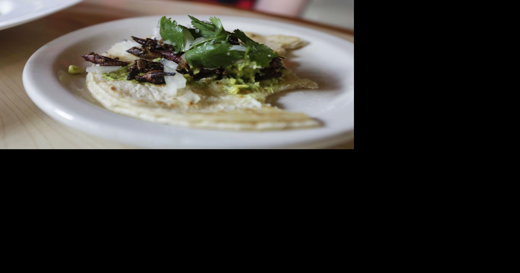 Creepy cuisine: Crafting culinary gems from unusual ingredients | Arts ...