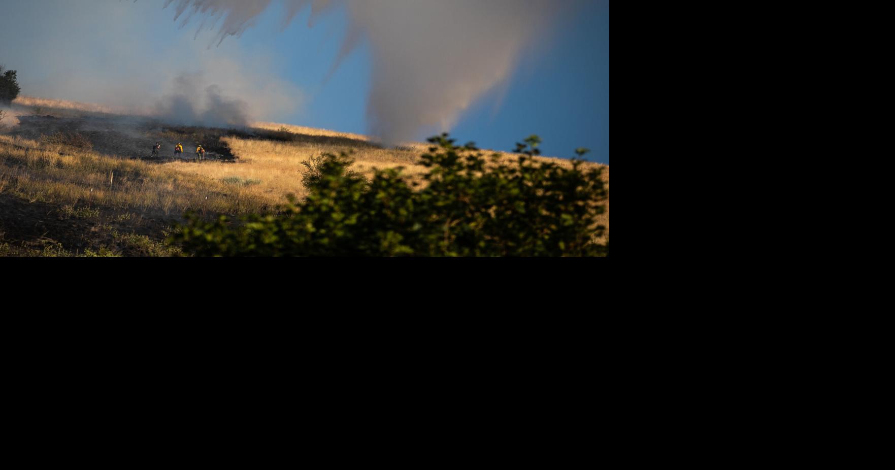 UPDATE: Mount Sentinel fire cause confirmed | News | montanakaimin.com