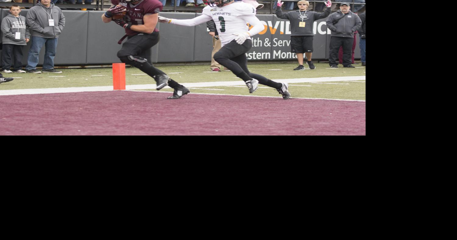 Senior Saylor seeks to send Cats sailing | Sports | montanakaimin.com